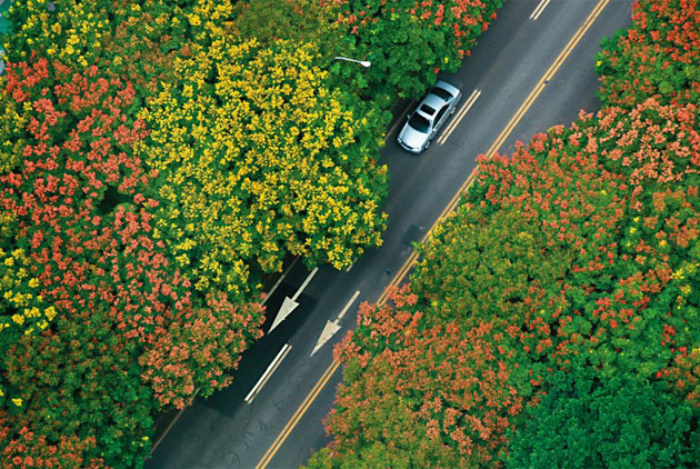 Hope Abides On the Road｜Insight｜2011-06-30｜CommonWealth Magazine